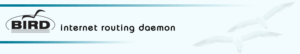 A Free Bird: The BIRD Internet Routing Daemon